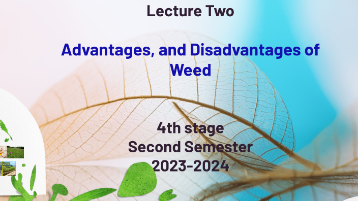 Advantages, and Disadvantages of Weed and Reducing the Spread of by ...