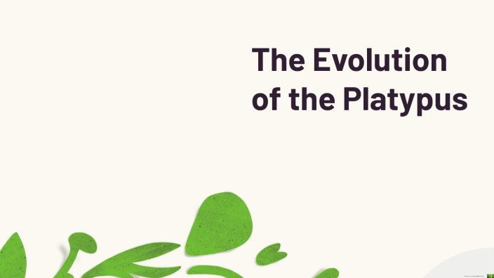 The Evolution of the Platypus by stella boutzetis on Prezi