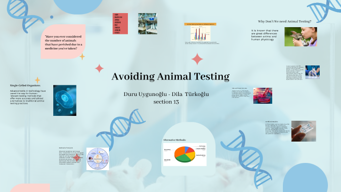 Avoiding Animal Testing Duru Uygunoğlu- Dila Türkoğlu Section 13 by ...