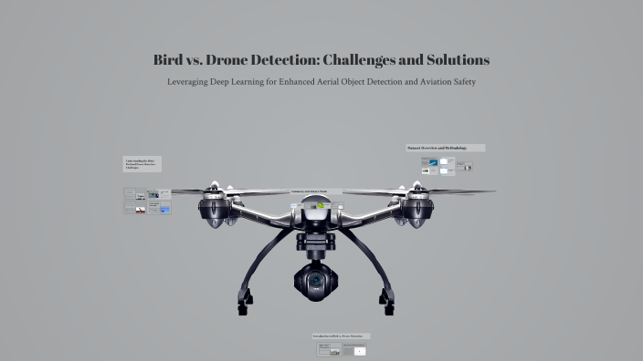 Bird vs. Drone Detection: Challenges and Solutions by Muhammad Uzair on ...