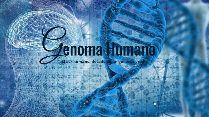 GENOMA HUMANO EXPO GRUPO by Lucciana Huarachi on Prezi
