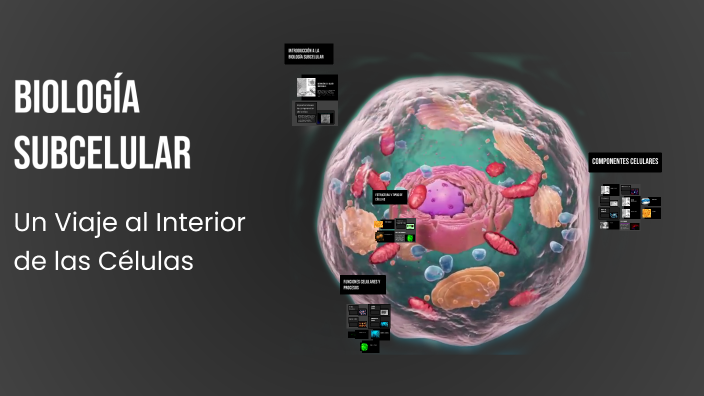 Biología Subcelular by Denisse Bravo on Prezi