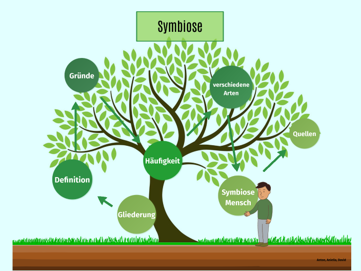 Symbiose by david w on Prezi