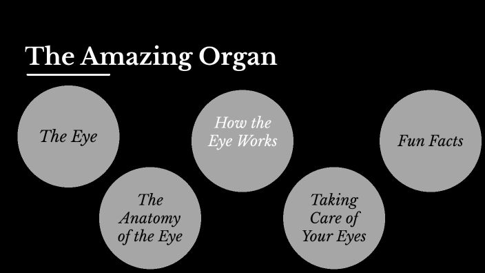 The Amazing Organ by Maggie Roberts on Prezi