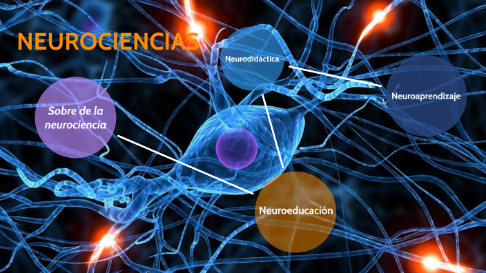 neurociencia by Esteban Leclerc on Prezi