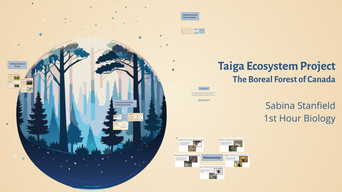 The Boreal Forest of Canada by Sabina Stanfield on Prezi