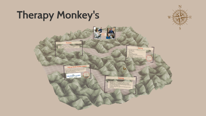 Therapy Monkey's by Brianna Pankonin on Prezi