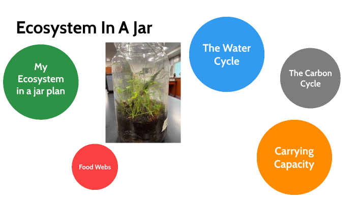 Ecosystem In A Jar by Chloe O'Neil on Prezi