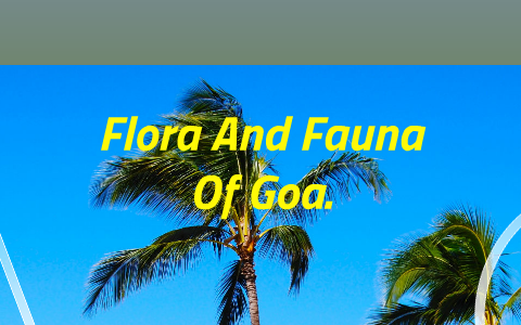 Flora And Fauna Of Goa. by Sankalp Kumar on Prezi