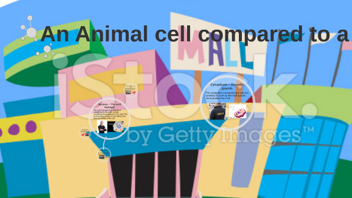 An Animal cell compared to a mall by bob alaska on Prezi