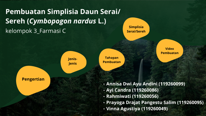 Pembuatan Simplisia Daun Serai/Sereh_Kelompok 3_Farmasi C_Praktikum ...