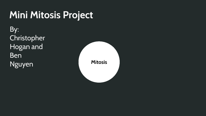 Mini Mitosis Project by Christopher Hogan on Prezi