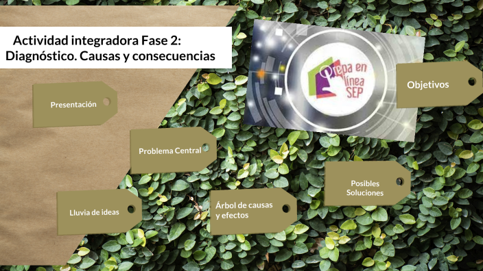 Actividad integradora Fase 2: Diagnóstico. Causas y consecuencias by beatriz Pereyra on Prezi