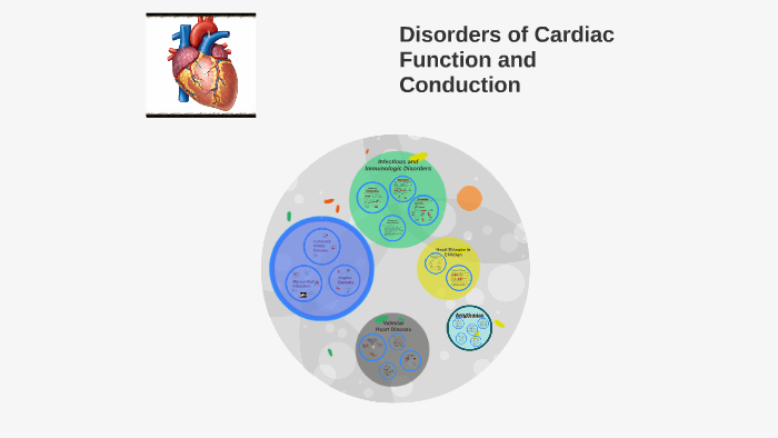 Disorders of Cardiac Function and Conduction by Vivian Armas