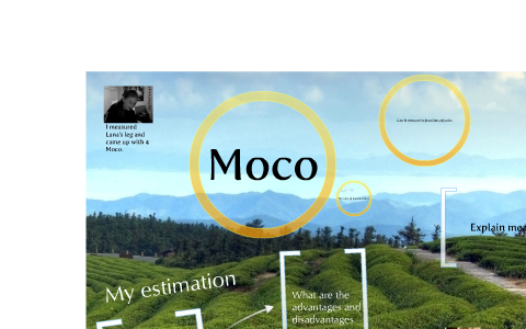 Moco (My unit of measurement) by izzy mocca