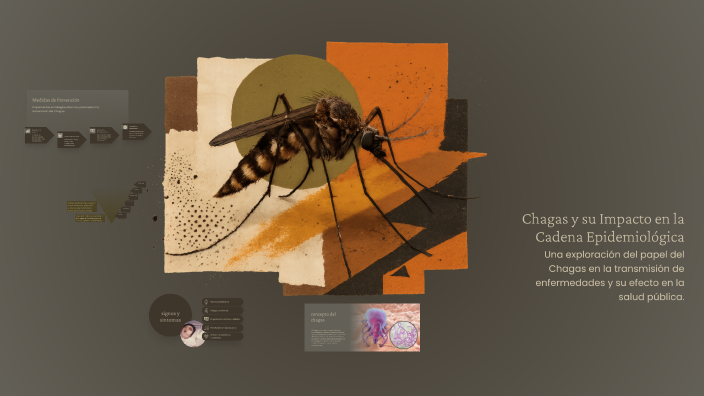 Chagas y su Impacto en la Cadena Epidemiológica by Marcela Alessandra ...