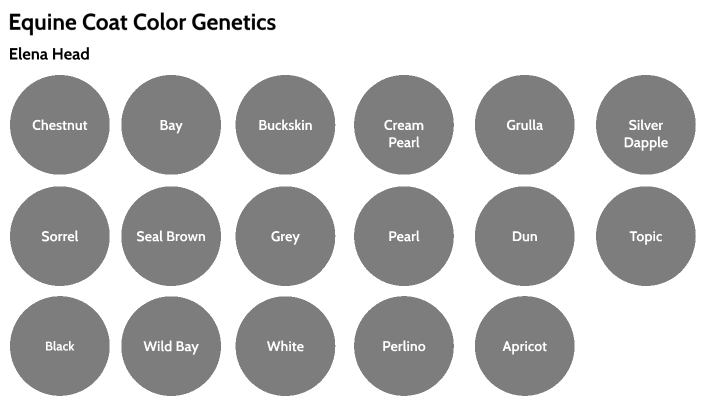 Equine Coat Color Genetics by Elena Head on Prezi