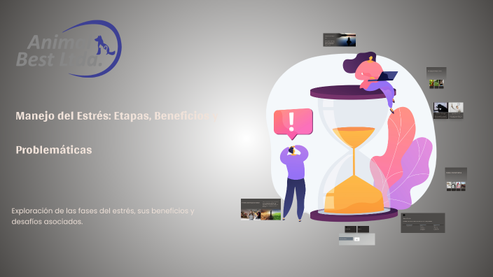 Manejo del Estrés: Etapas, Beneficios y Problemáticas by SALUD Y ...