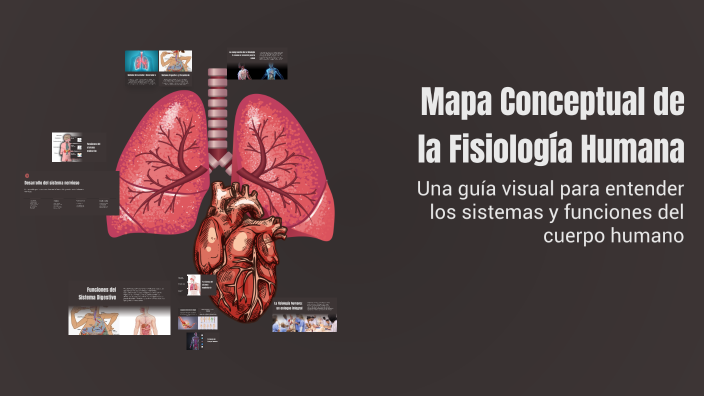 Mapa Conceptual de la Fisiología Humana by Prado Garcia Guadalupe Aylin ...