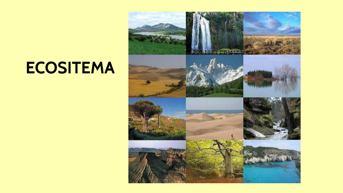 ECOSITEMA by Andrey Paz on Prezi