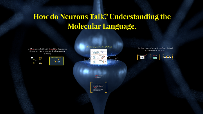 How do Neurons Talk? Understanding the Molecular Language. by Amrutha V