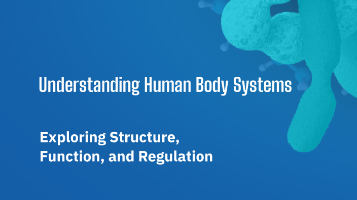 Biology final project; The Endocrine System by saiel alvi on Prezi