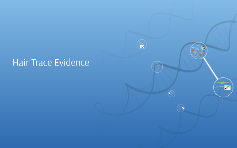 Hair Trace Evidence by Simone Gadson on Prezi