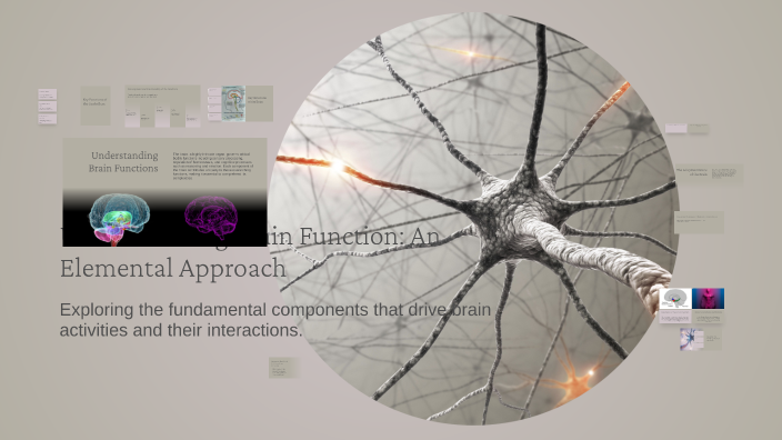 Understanding Brain Function: An Elemental Approach by Lydia Altuntas ...