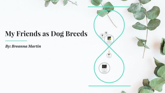 My Friends as Dog Breeds by breanna martin on Prezi