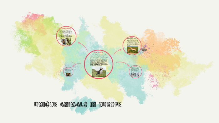 Strange and Unique animals in europe by Robert Belbol on Prezi