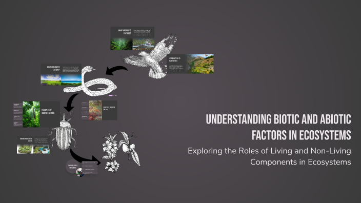 Understanding Biotic and Abiotic Factors in Ecosystems by Yacka Farrell ...