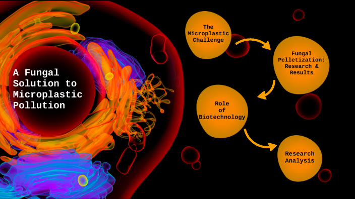 Fungi vs Microplastics by gopika makhija on Prezi