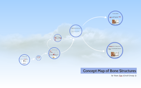 Concept Map of Bone Structures by on Prezi