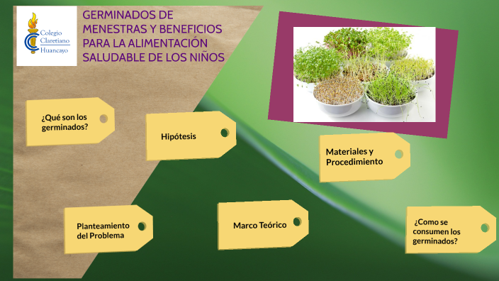 Proyecto de Ciencias - Germinados by Kenny Robert Castro Mejía on Prezi