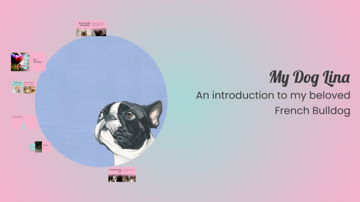 My Dog Lina by Gökçe Rençber on Prezi