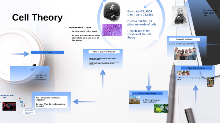 Cell Theory by Jenny Jean Baptiste on Prezi