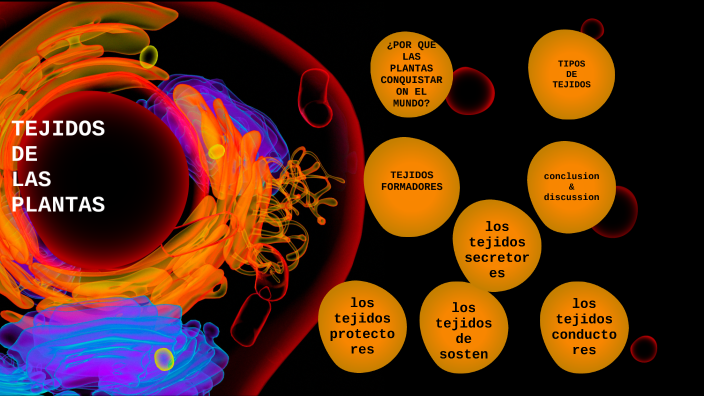 TEJIDOS VEJETALES by DAVID ÁLVAREZ ALISTE on Prezi