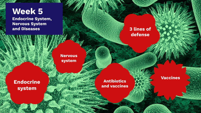 Endocrine, Nervous, Immune system revision by Matthew Paton on Prezi