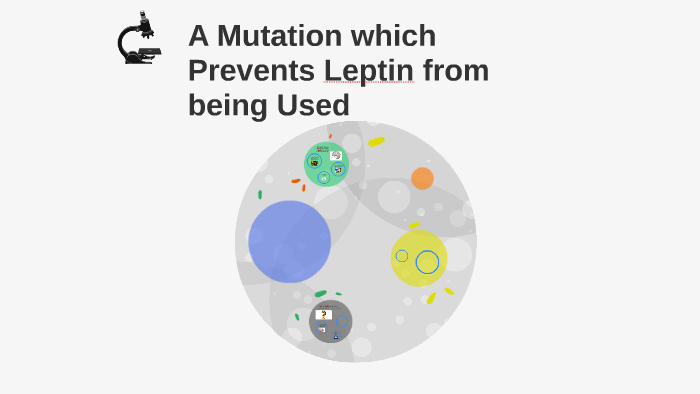 A Mutation which Prevents Leptin from being Used by Alexis Sims on Prezi