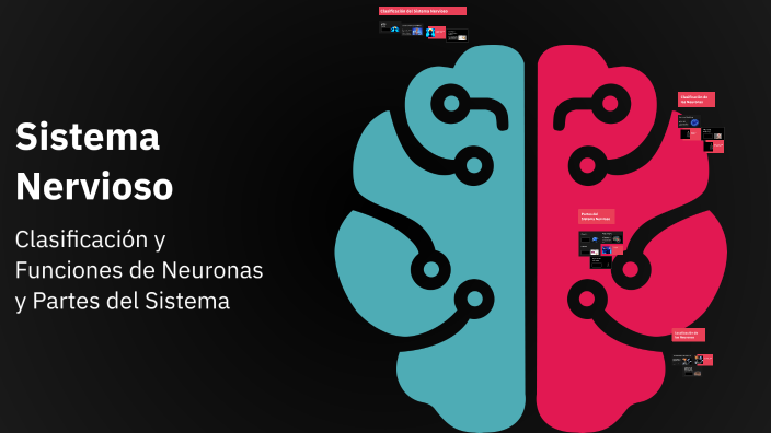 Sistema Nervioso by Fabricio Hernandez on Prezi