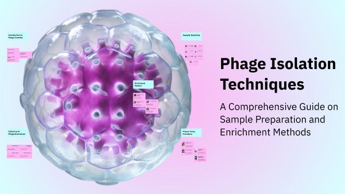 Phage Isolation Techniques by BENEDETTA MARIA ZORODDU on Prezi