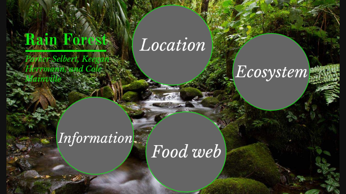 Amazon Rainforest Ecosystem by Keegan Herrmann on Prezi