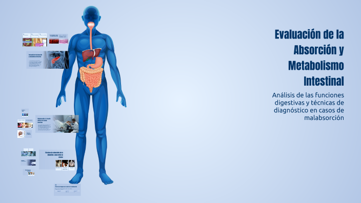 Evaluación de la Absorción y Metabolismo Intestinal by Nidamaya Jimenez ...