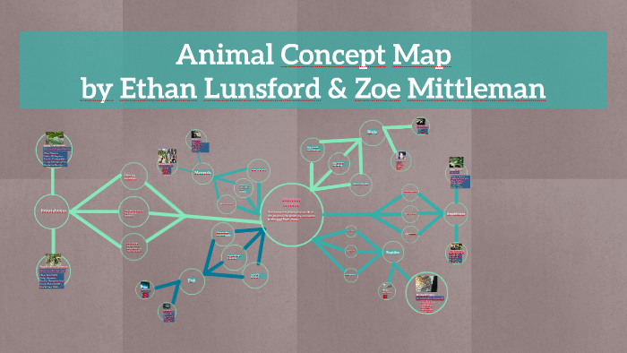 Animal Concept Map by Ethan Lunsford on Prezi