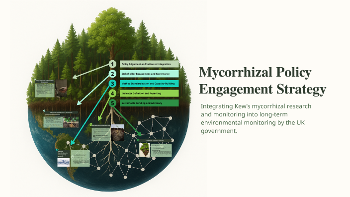 A High Level Policy Strategy for Mycorrhizal Natural Capital by Ellie ...