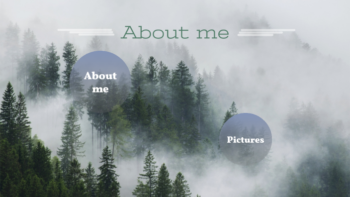 logan collette about me by logan collette on Prezi