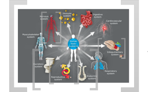 Protein Synthesis and Meiosis Review by Jacob Patchen on Prezi