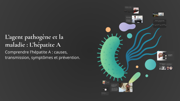 L’agent pathogène et la maladie : L’hépatite A by yacine yacine on Prezi