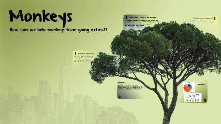 Ela Passion Project: Monkeys by KHLOE MUELLER on Prezi