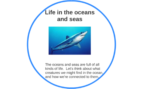 Life in the oceans and seas by Ken Beecken on Prezi